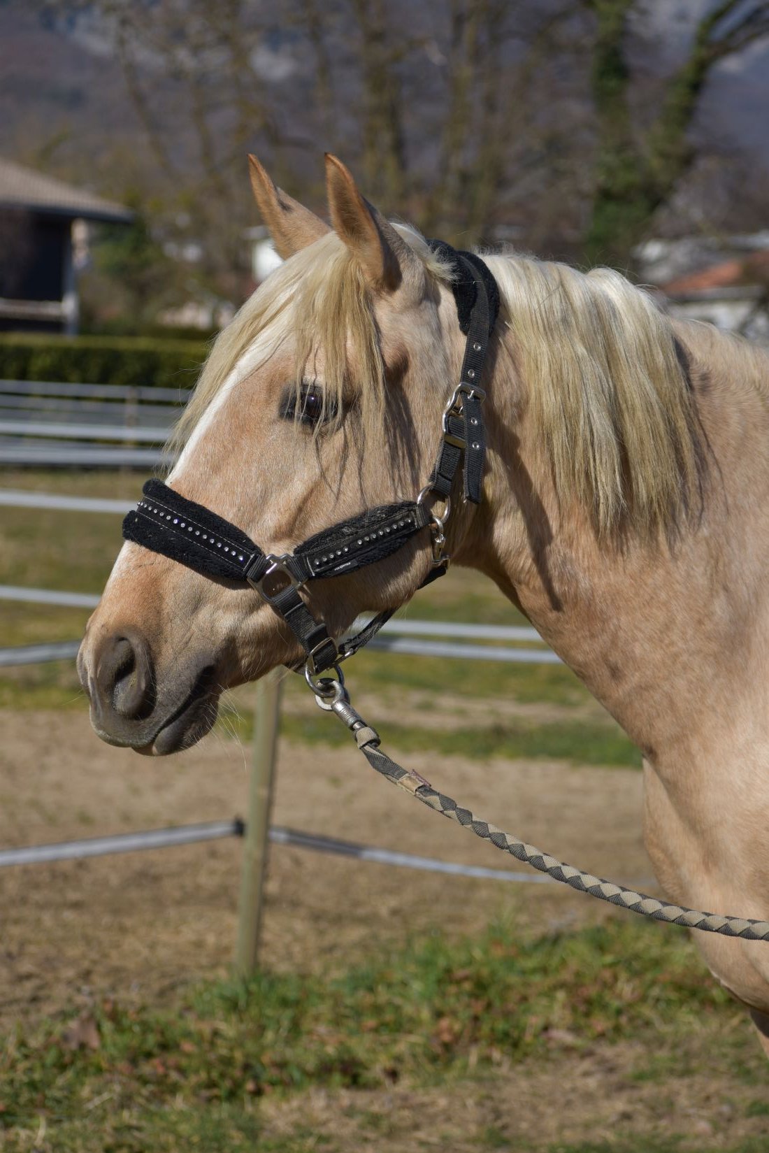 Centre équestre du Saint Eynard